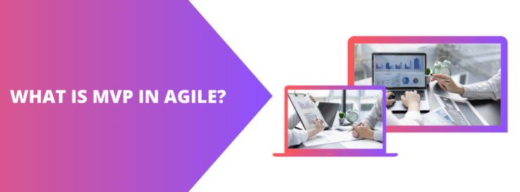 MVP in Agile: Insights from the best MVP Development Company